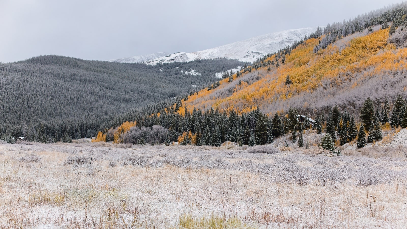 Grants - Colorado Baptists